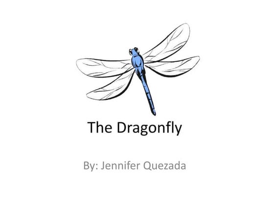 Dragonfly 4 | PPTX