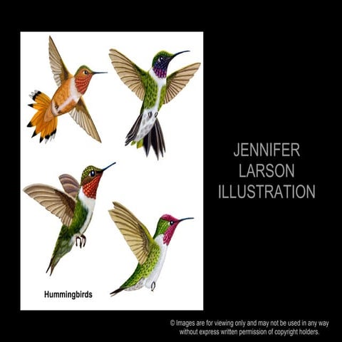 Jennifer Larson Illustration | PPT