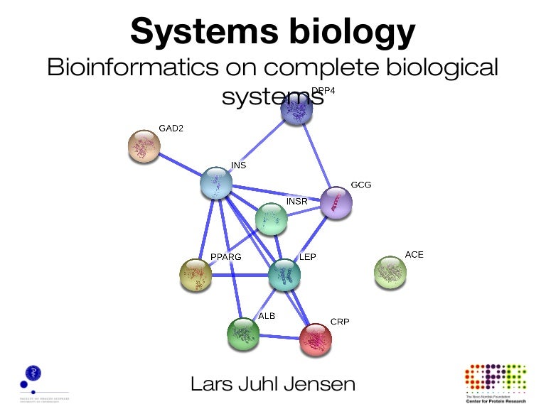 Systems biology - Bioinformatics on complete biological systems