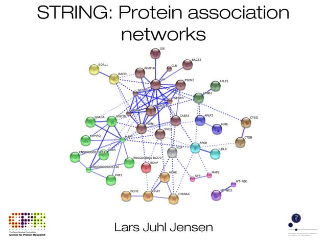 String Protein Association Networks Ppt