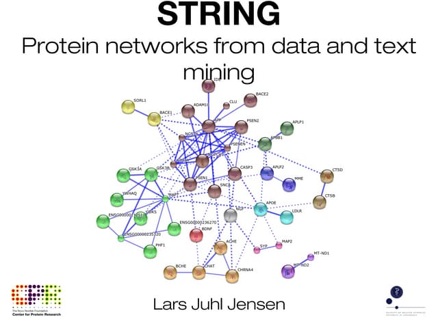 String Protein Networks From Data And Text Mining Ppt Genetics