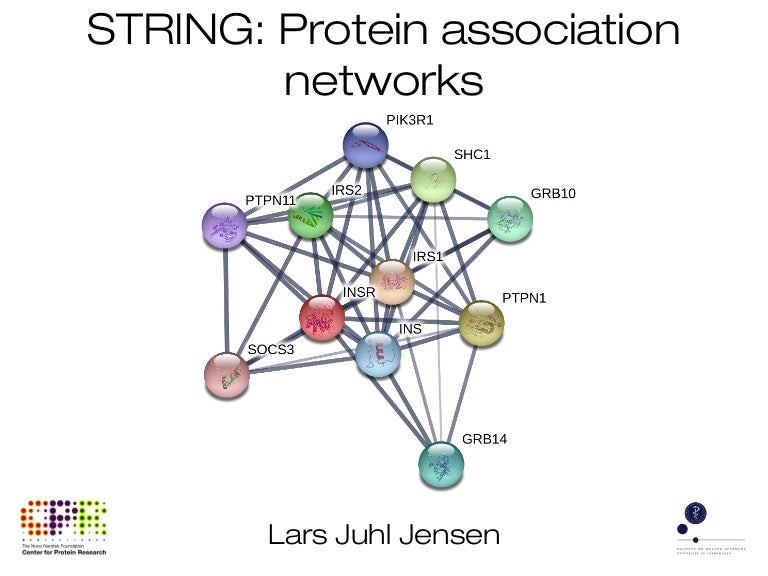 String Protein Association Networks