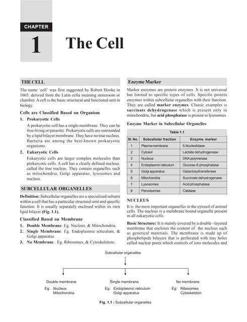 Introduction to Biochemistry | PDF
