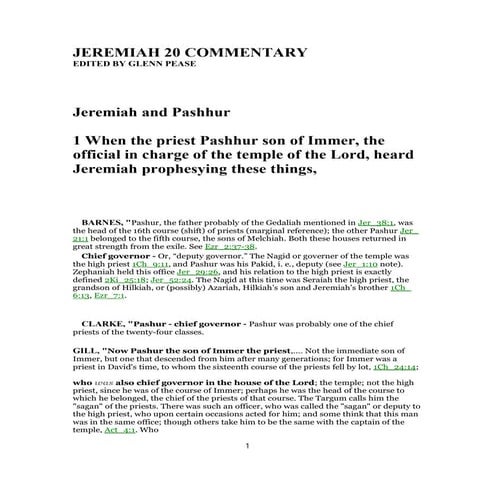Jeremiah 20 commentary | PDF