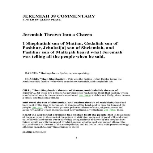 Jeremiah 38 commentary | PDF