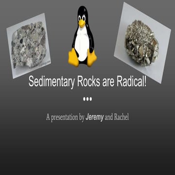 Jeremy and rachel | PPT