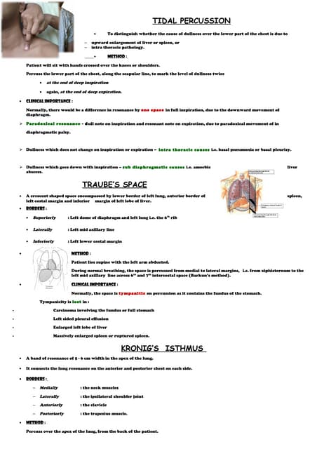 Harrison sulcus | PDF