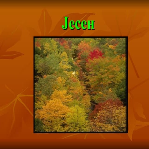 Jesen | PPT