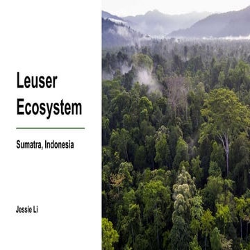Leuser ecosystem | PPTX