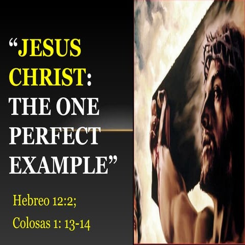 Jesus christ the one perfect example | PPT