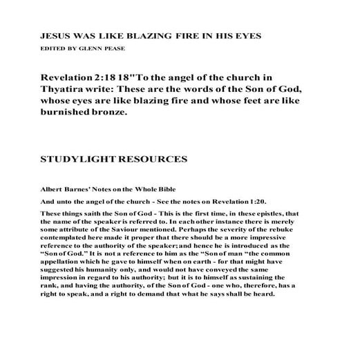 Jesus was like blazing fire in his eyes | DOCX