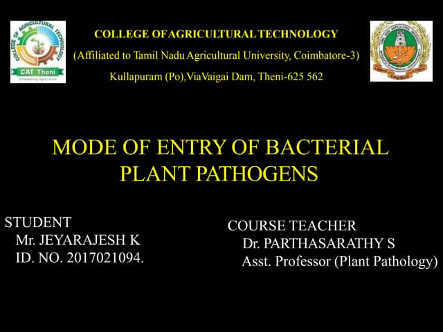 what is Significance_of_Plant_disease.pptx