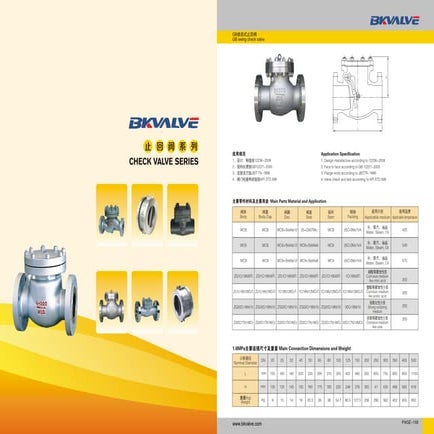 BKVALVE check valve catalog 2015 | PDF