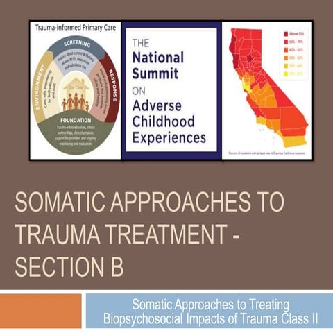 Somatic approaches to treating biopsychosocial impacts of trauma ...