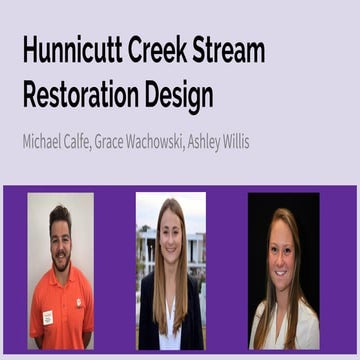 Hunnicutt Creak Stream Restoration Design | PDF