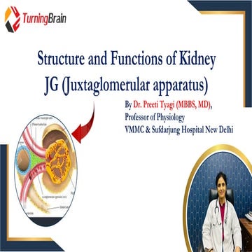 JUXTA GLOMERULAR apparatus | PPTX