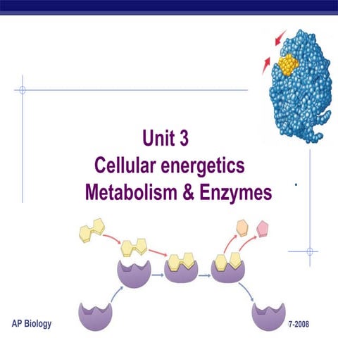 ch_8_metabolism_and_enzymes_ppt._Autosaved.ppt