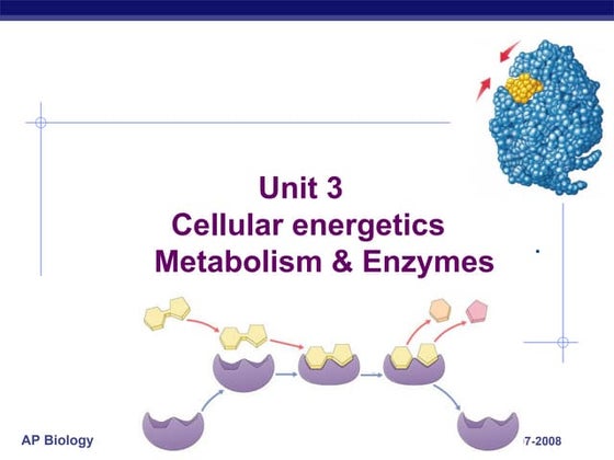 Microbial metabolism.pptx | Endocrine and Metabolic Diseases | Diseases ...