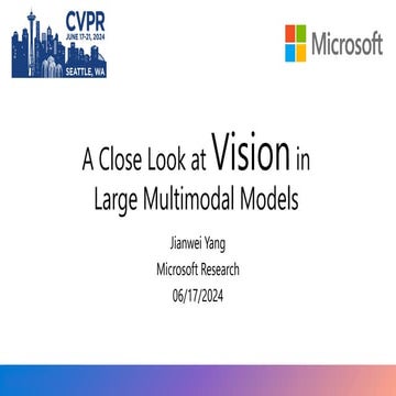 vision in LMM, a close look at them in context | PDF