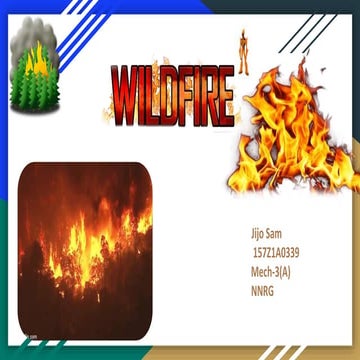 wild fire | PPT