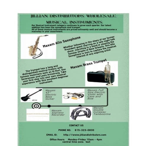 Jillian Distributors Wholesale Musical Instruments | DOCX