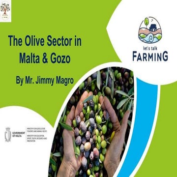Jimmy Magro I The Olive Sector_Final.pptx