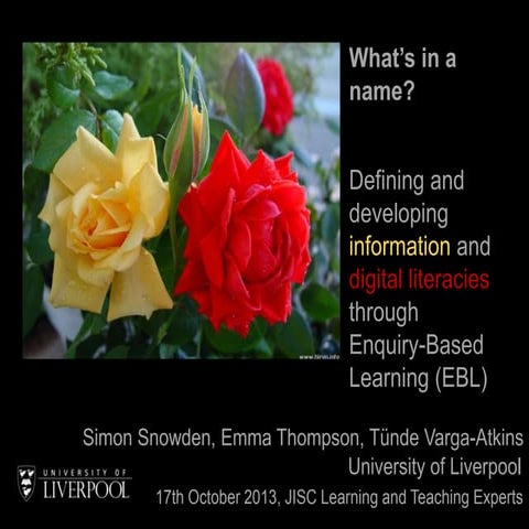 What’s in a name? Defining and developing information and digital ...