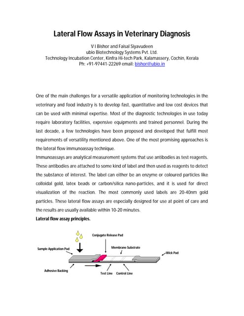 Lateral Flow Assay LSA | PPTX