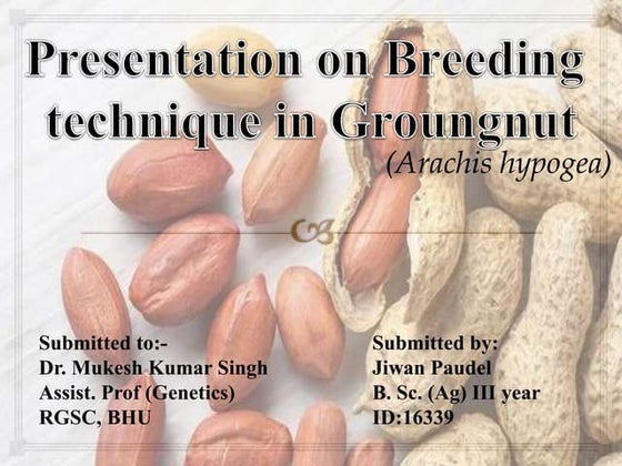Varietal identificaton through grow-out test and Electrophoresis | PPT