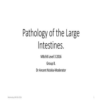 Pathology of the large intestines | PPTX