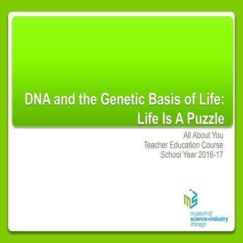 Life is a puzzle | PPT