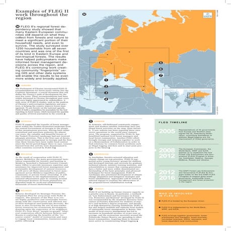 FLEG II leaflet (page 2) | PDF