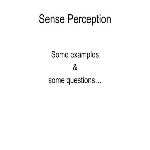 ToK presentation on sense perception 2013 | PDF