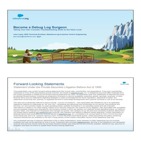 Bug Hunting with the Salesforce Developer Console | PDF