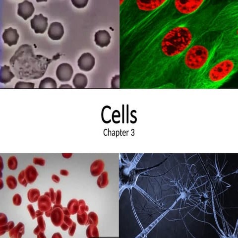 human anatomy and physiology: cells and tissues | PPTX