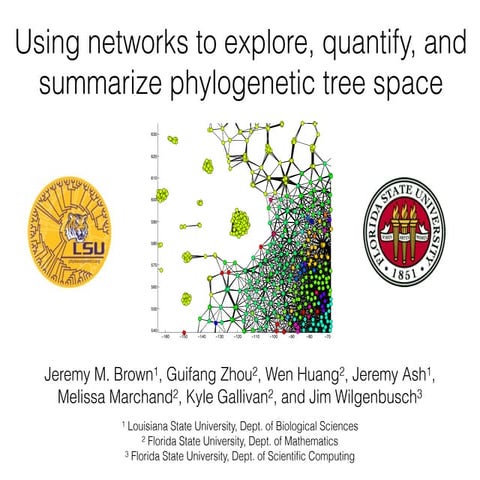 Using networks to explore, quantify, and summarize phylogenetic tree space | PDF