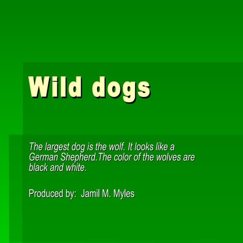 African Wild Dog! | PPTX