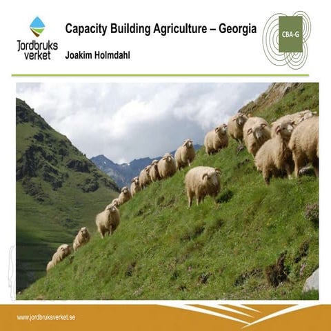 Capacity Building Agriculture – Georgia | PPTX