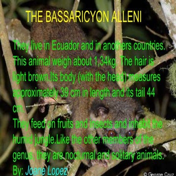 Joane presentation | PPTX | Birds | Pets