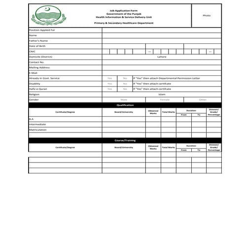 Job Application Form HISDU at Health Information & Service Delivery ...