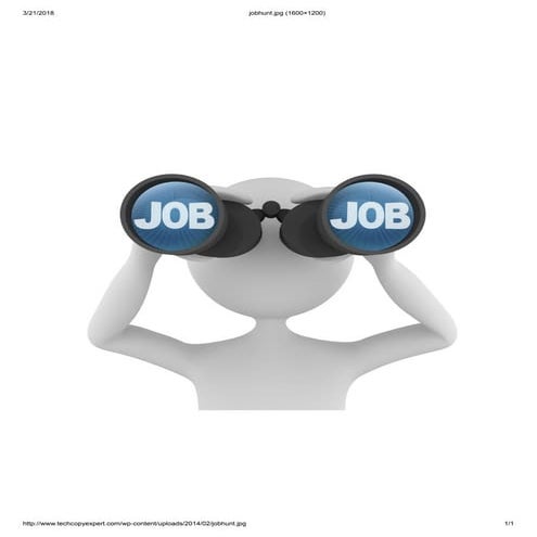 Jobhunt | PDF