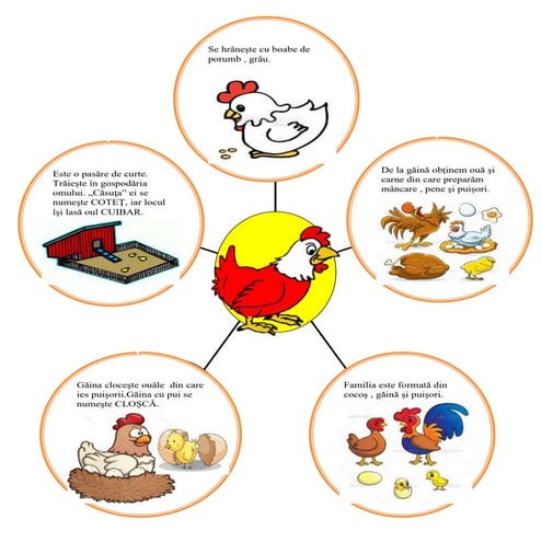 joc Ciorchinele Animale domestice.docx