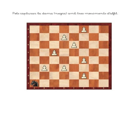 Joc captura la dama | PDF