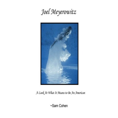 Meyerowitz/Cohen | PPT | Photography | Arts and Crafts