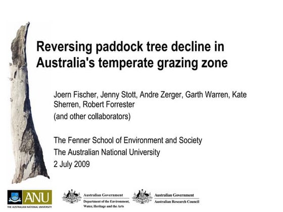 Teaching Forest Stand Dynamics | PPT