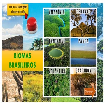 Jogo de pistas e roleta - Biomas.pptx
