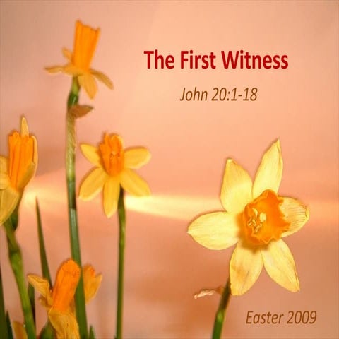John 20_1-18 The First Witness (EASTER 2009) | PPT