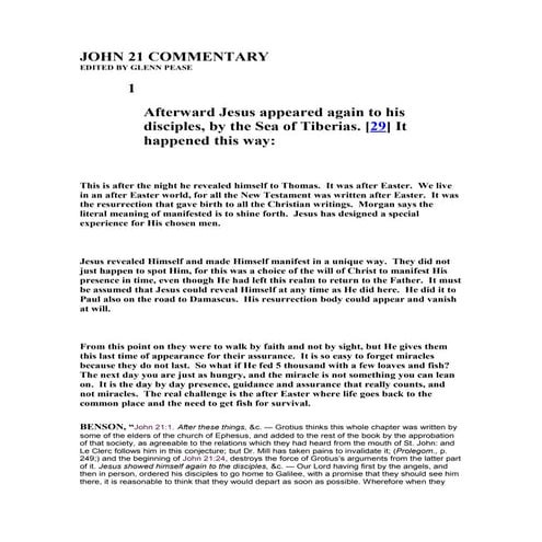 John 21 Commentary Pdf