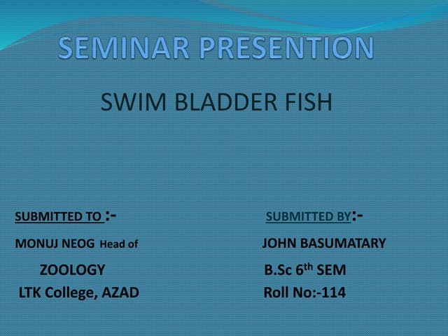 Swim bladder | PPTX