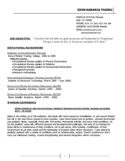 Julie_Lelievre_resume | PDF